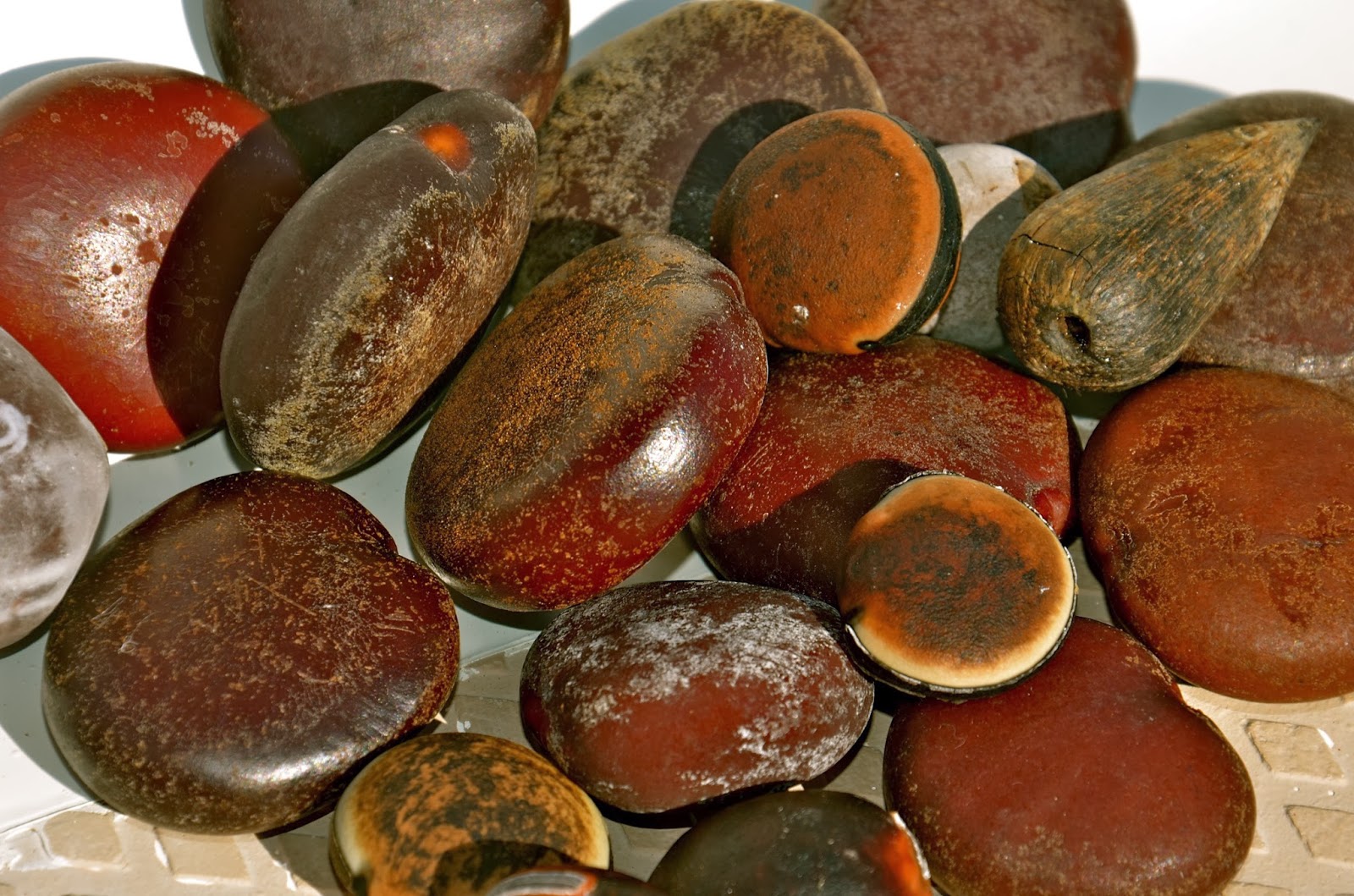 wyattsailing: Big Sand Cay, Turks and Caicos