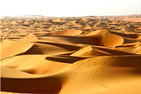 Top 10 Largest Deserts in the World (with Map & Photos)