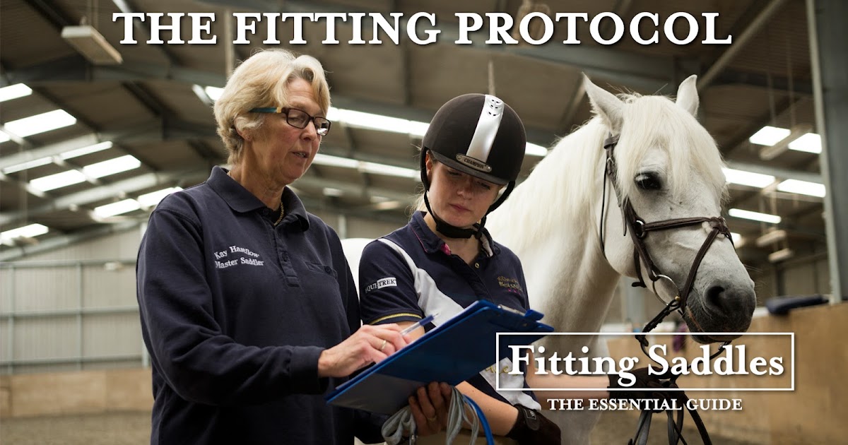 Kay Hastilow Master Saddler: Busting Myths 11 - A Saddle Fitter said ...