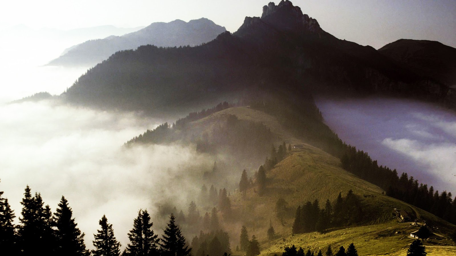 Casa Mea de la Munte: Un Nou Inceput!