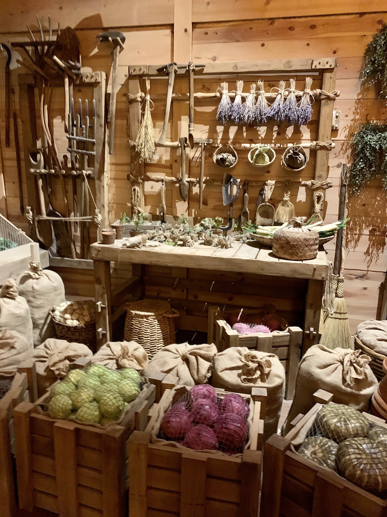 Amy's Creative Pursuits: The Ark Encounter - Inside the Ark