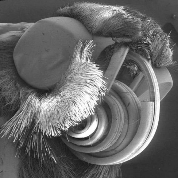 Once upon the Rainy Day: Life Under The Electron Microscope