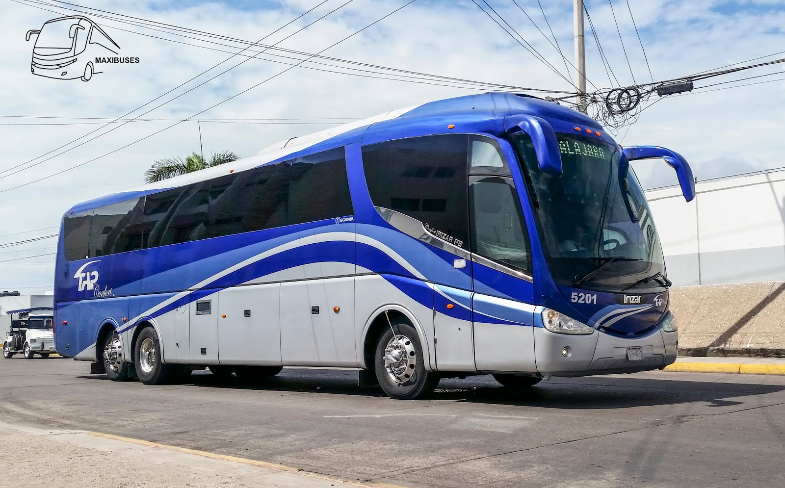 MAXIBUSES: TRANSPORTES Y AUTOBUSES DEL PACÍFICO, CONFORT (TAP CONFORT)