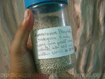 Practical Gardening: Fertilizer Storage and Labeling Tips
