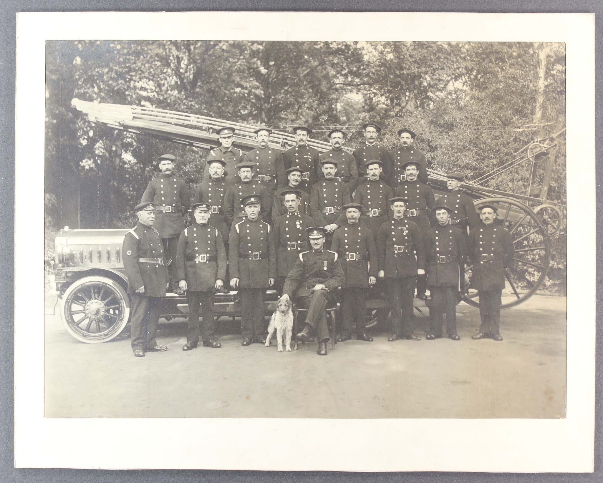 Curiouser and Curiouser