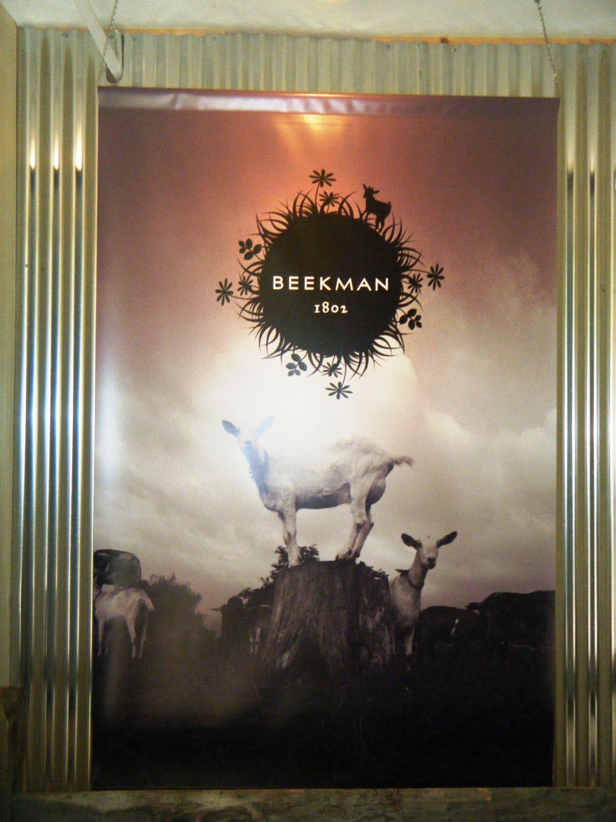 THE GOAT BORROWER: Beekman 1802 and Lots of Goats