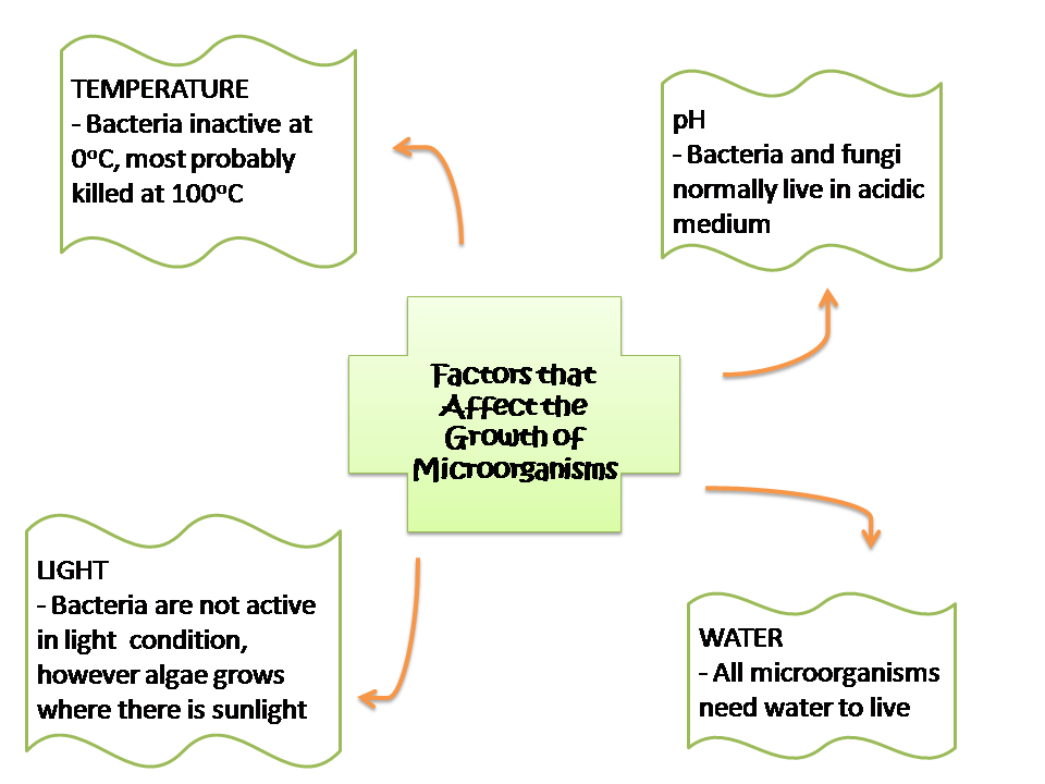 you are here because of science: CHAPTER 1: Microorganisms and Their ...