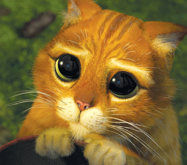 AKI GIFS: Gifs animados Gato de Botas