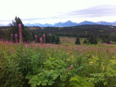 Life in Alaska — A View From Homer: Homestead Summer Trail