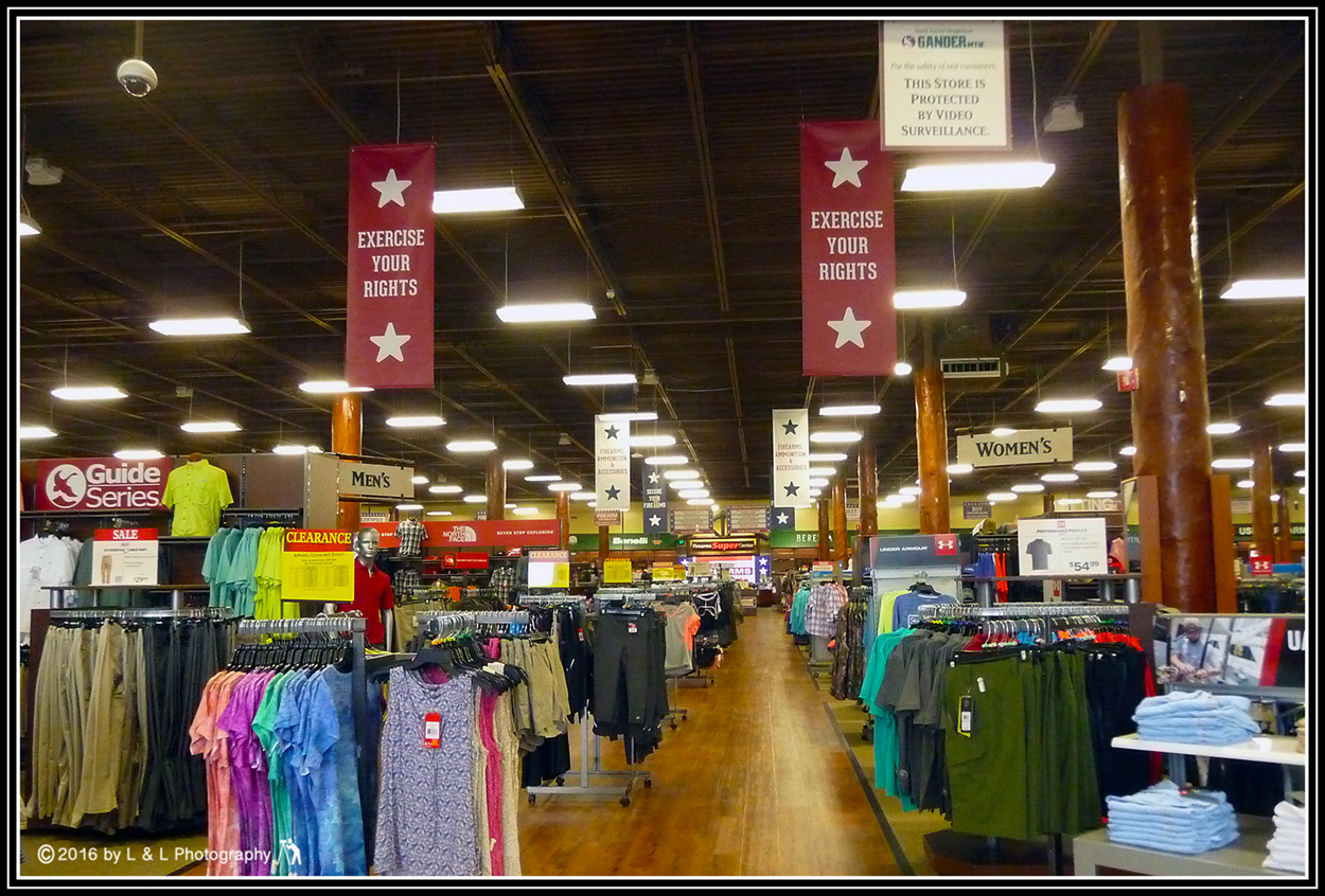 Ocala, Central Florida & Beyond: Gander Mountain