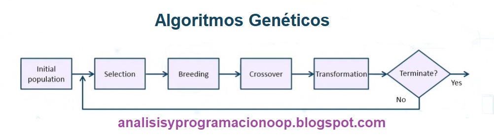Análisis y Programación: Algoritmos evolutivos y descenso de gradiente