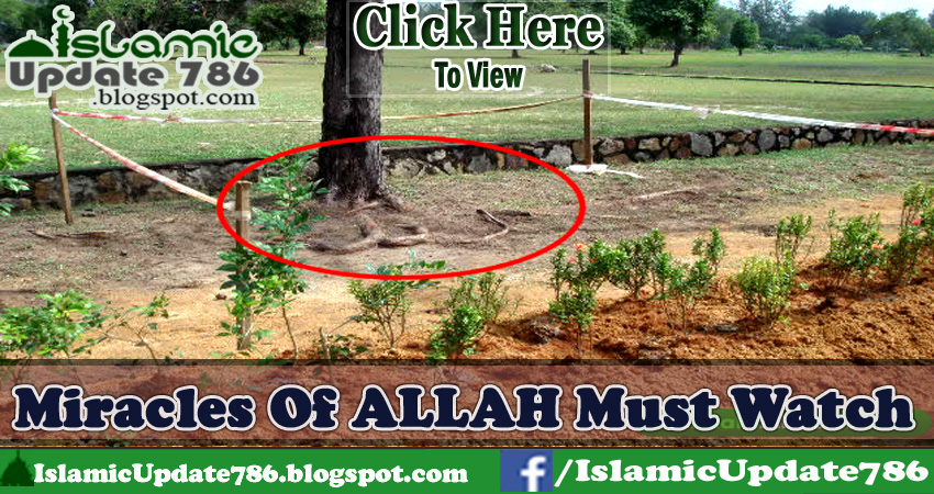 Miracles Of ALLAH | Must Watch Video - The Stylish Life