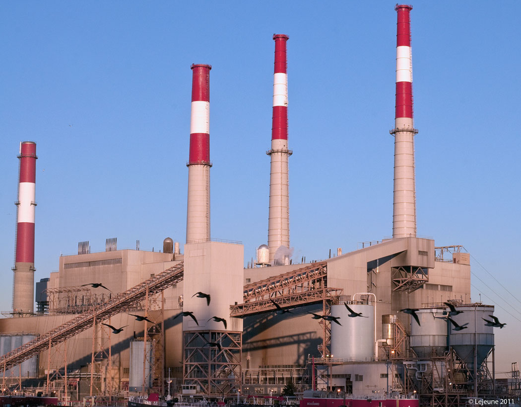 Walking the Boroughs ... and elsewhere: The view from Roosevelt Island