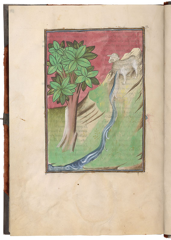 АПОКАЛИПСИС. Berry Apocalypse. Medieval and Renaissance Manuscripts ...