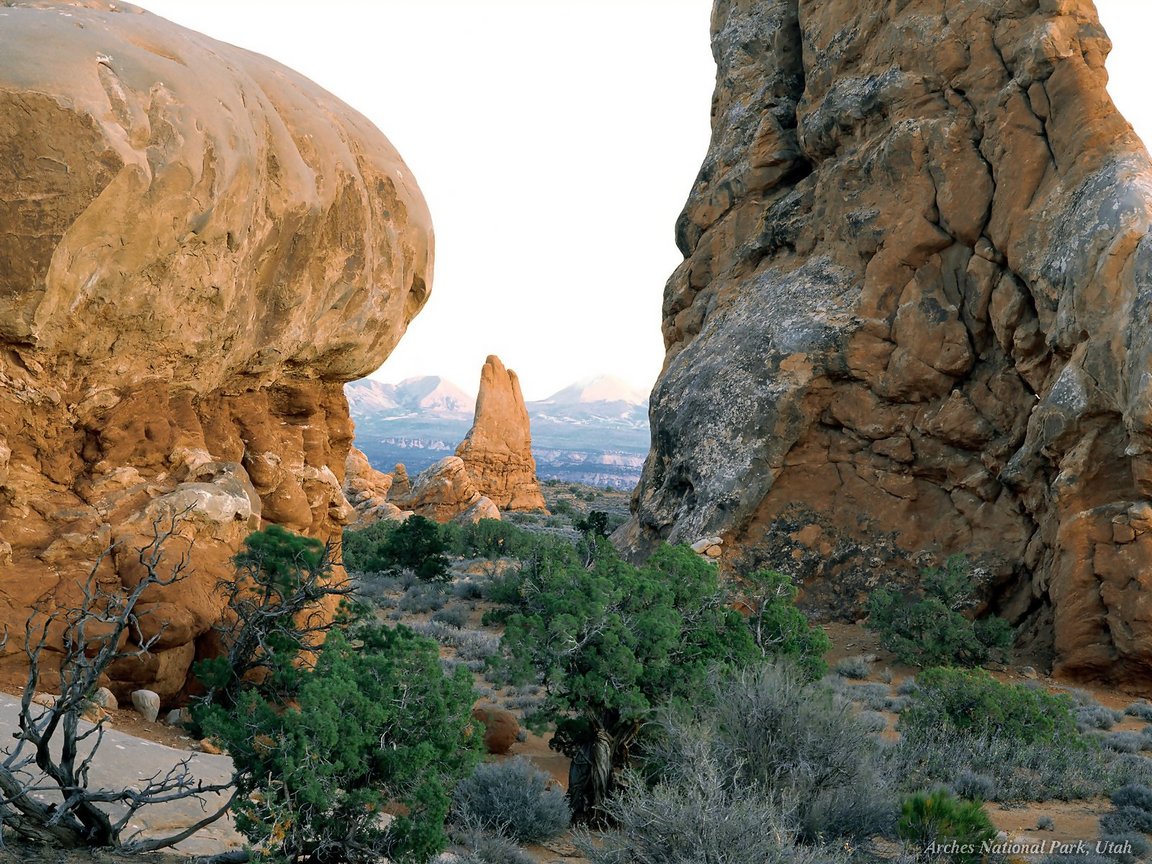 Nilam Kenung: Wallpaper Batuan