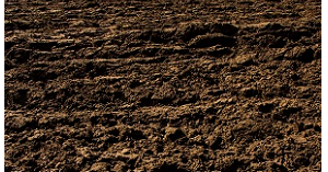 Pengertian Tanah Podzolik, Tanah Regosol dan Tanah Vulkanis - simpleNEWS05