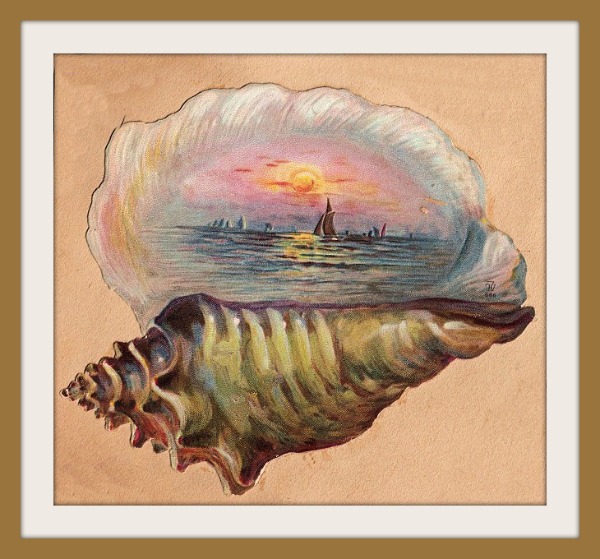 Kat's Almost Purrfect Home: Vintage Ocean Images in Color