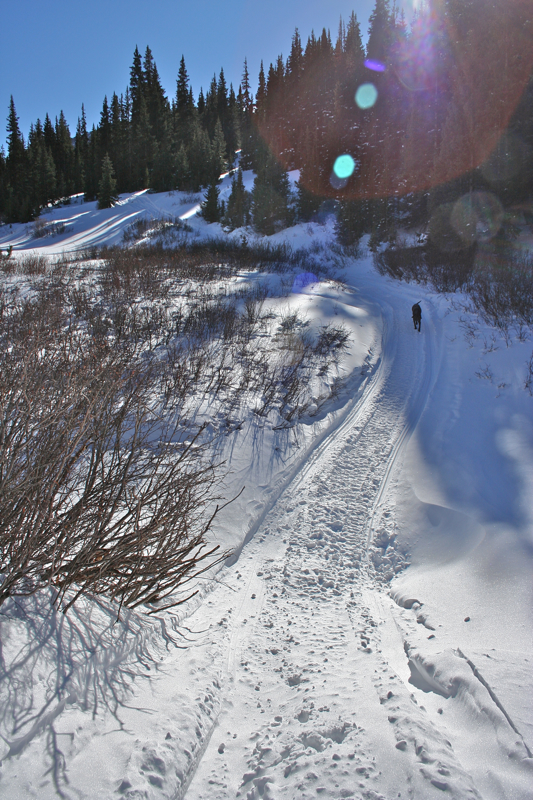 Colorado Lifestyle: Pennsylvania Gulch Snowshoe