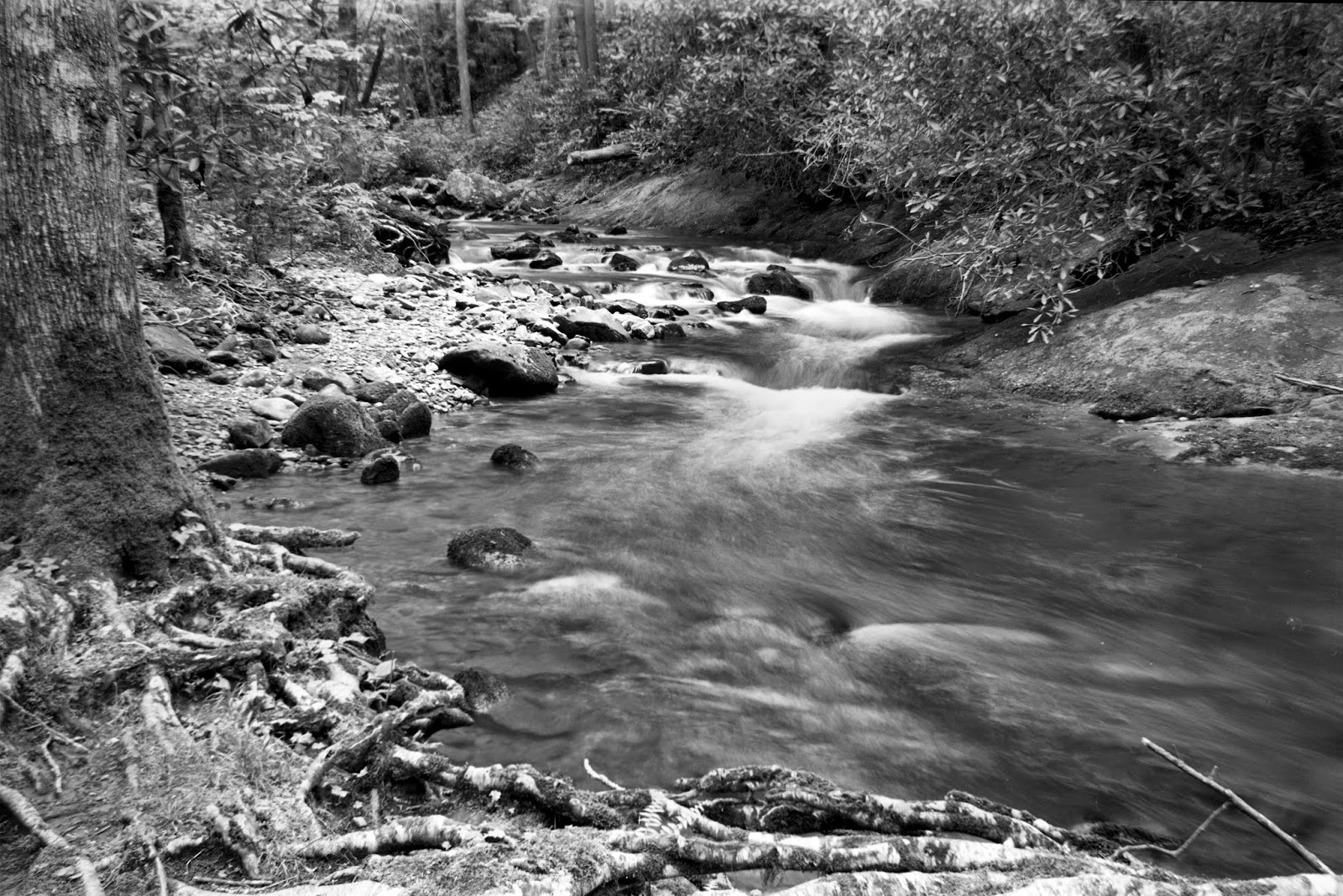 Random Camera Blog: The Agfa Clack - a 6x9 gem