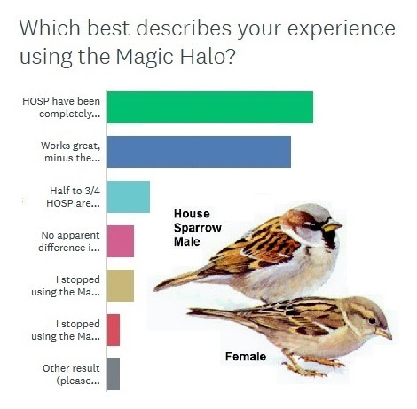 Magic Halo For Bird Feeders