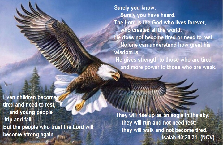 Morning Musings : "They that wait on the Lord.." - Isaiah 40:28-31