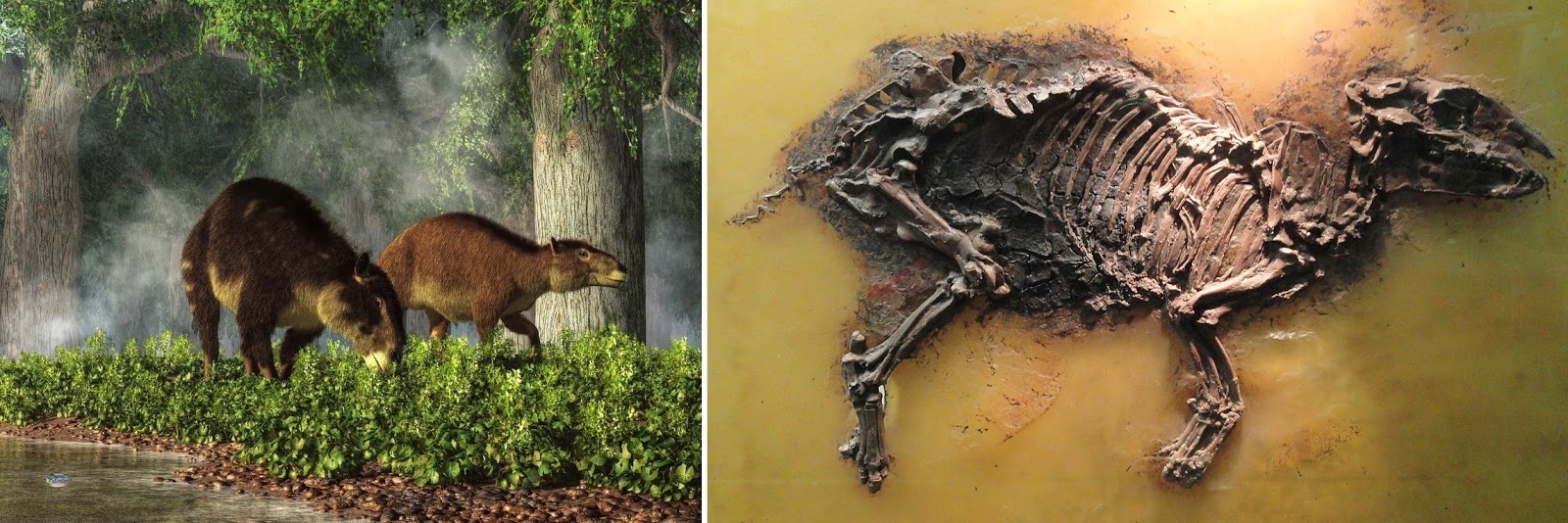 Blog Sin Dioses: "El Noé de los caballos" Rebatiendo el argumento del ...