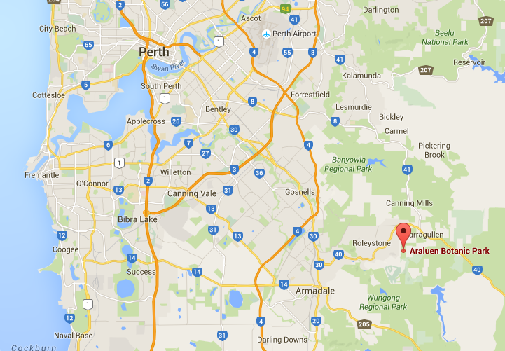 Welcome Spring with a Visit to Araluen!!!