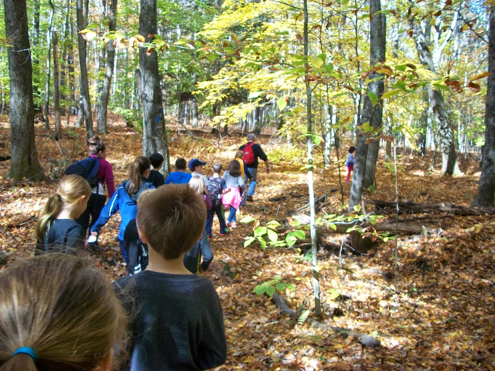 Third Grade Phenoms: Third Grade Hike Preview