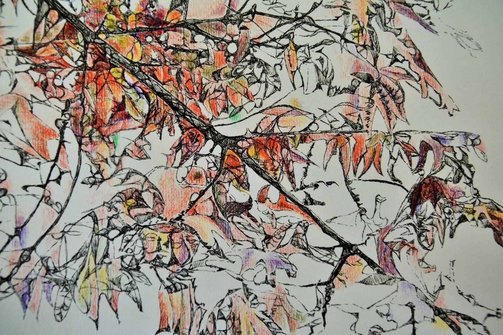 Jane Sproston Art : Autumn Colours