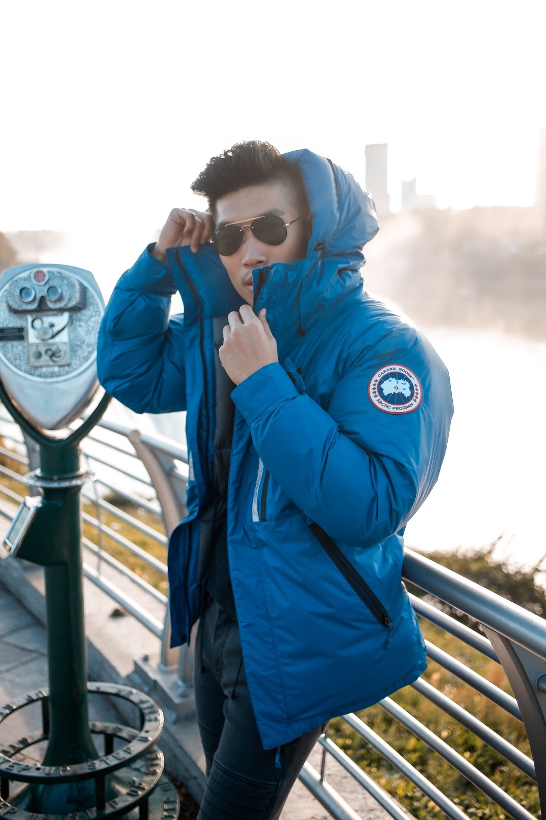 Canada Goose at Niagara Falls — LEVITATE STYLE
