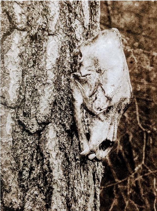 Spirit Boat: A History of Finnish Shamanism: Part 2