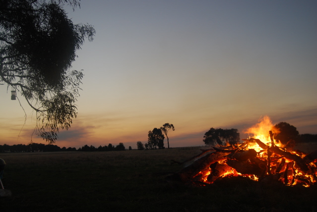Sunnyside Farm Fun: Good old bonfire fun!