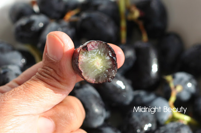 The Proud Garden: Midnight Beauty Seedless Black Grape