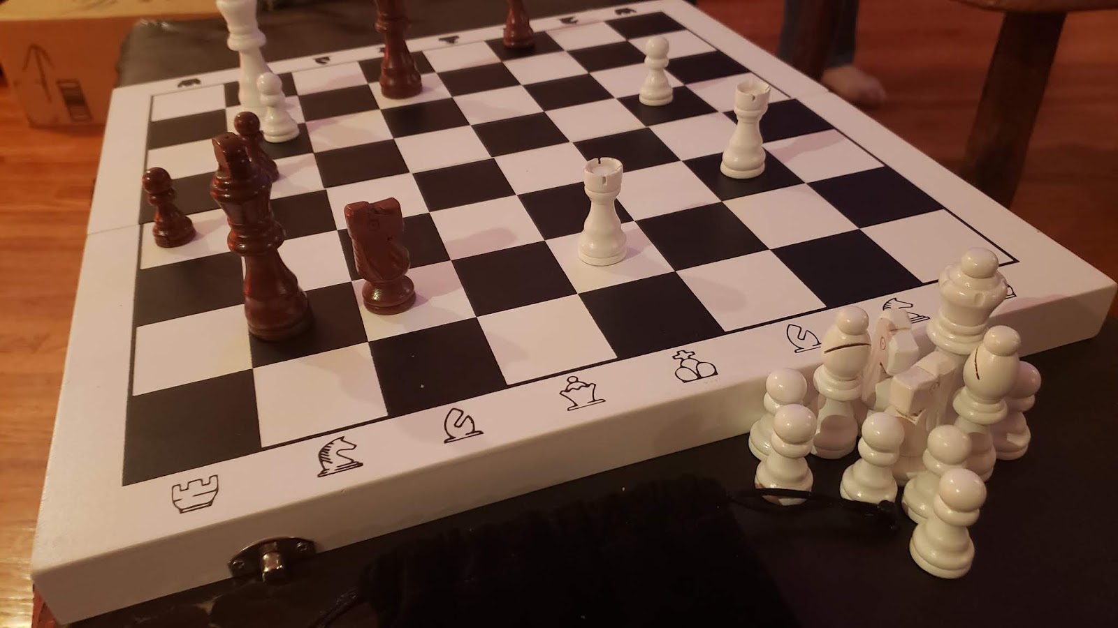 Walking Home . . .: Fun Family Chess ~~ A New TOS Review!!