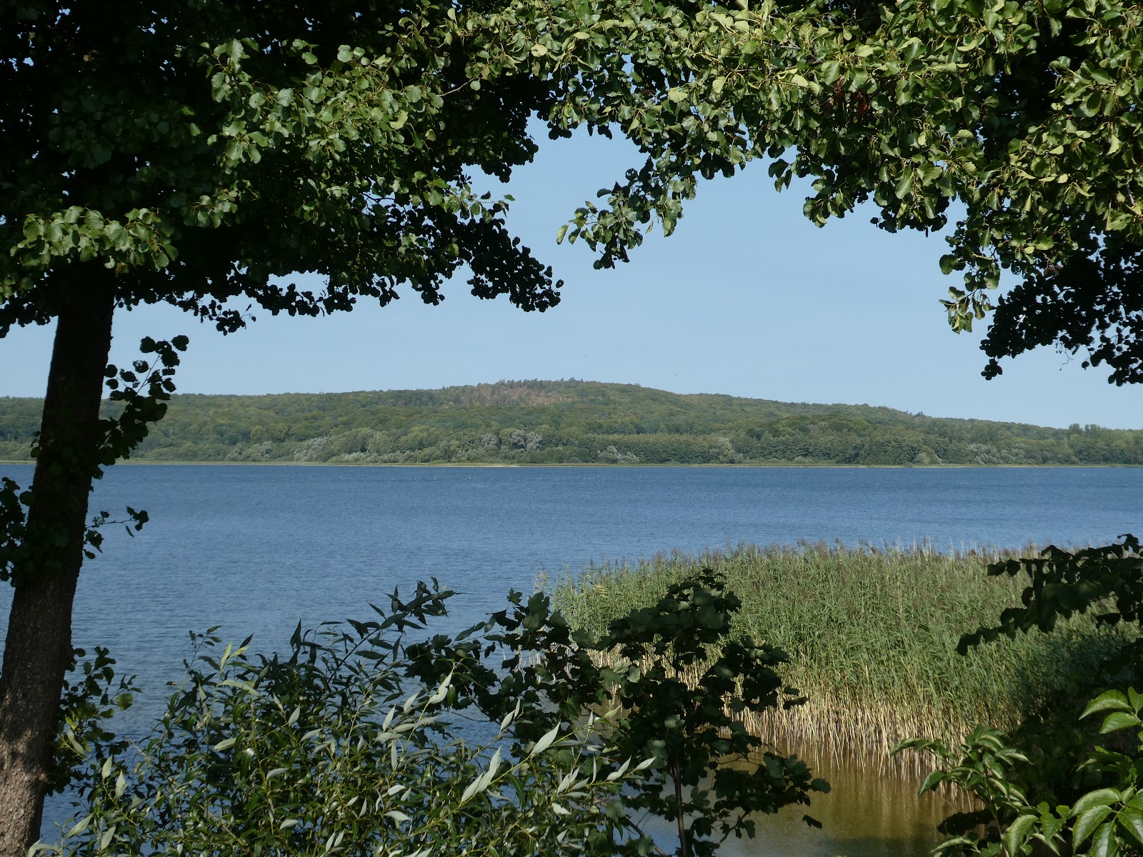 Skånska Resor: Nitton skånska sjöar