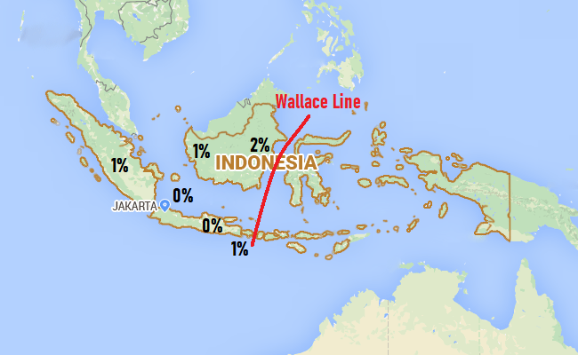 Your Roots DNA: Wallace Line and the genetics of Indonesia