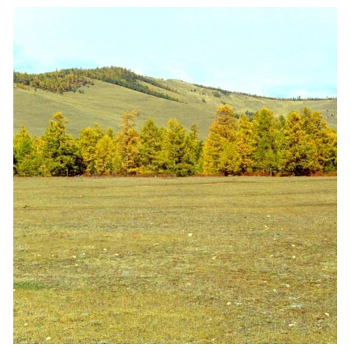 Pajiste langa care este o padure si dealuri - 16 Litere PixWords ...