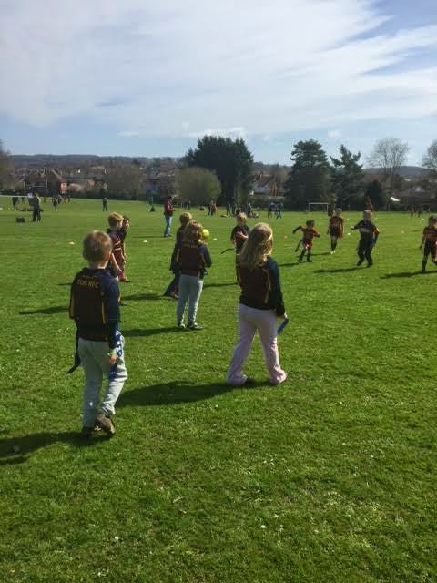 Tor Junior and Mini Rugby : Under 8s