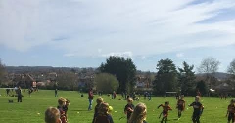 Tor Junior and Mini Rugby : Under 8s