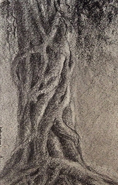 Paintings and Drawings by Manju Panchal: Graphite pencil drawings in my ...