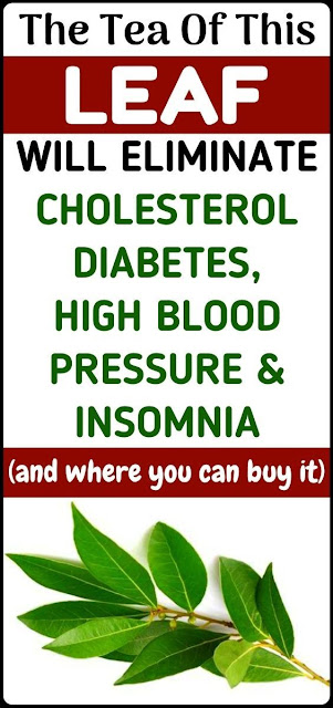 This Plant Treats Diabetes High Blood Pressure Cholesterol And this-plant-treats-diabetes-high-blood-pressure-cholesterol-and