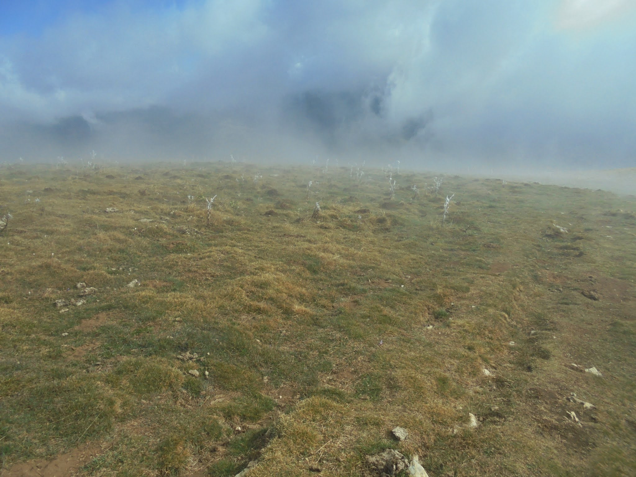 MUNTANYA: Sant Martí d'Ogassa, el Taga, 2040m i el turó de la Portella ...