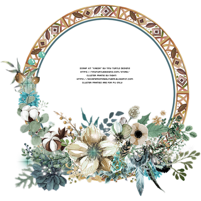 Escape From Reality Blog: FTU 'Kaesa' Cluster Frames TTD by Nighti