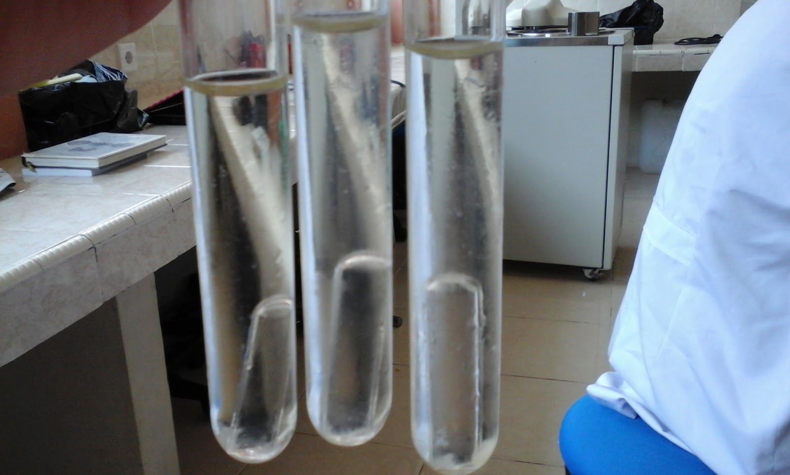 Materi Biologi: Jurnal Mikrobiologi Tentang Uji Kualitas Air