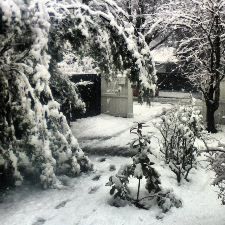 Snow in June: a southern hemisphere winter | Life in a rucksack