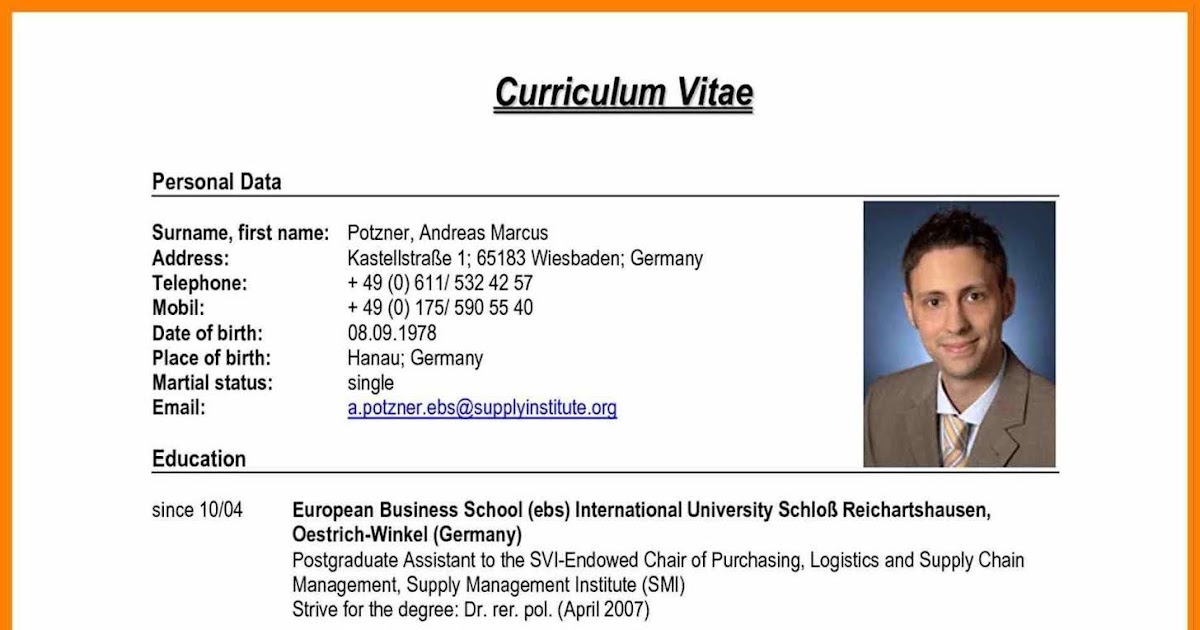 Sample Cv For Job Application Pdf - Birthday Letter