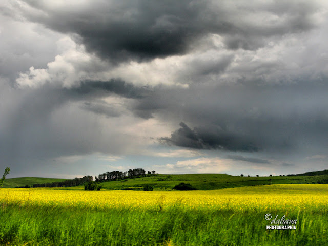 Photographis: May 2012