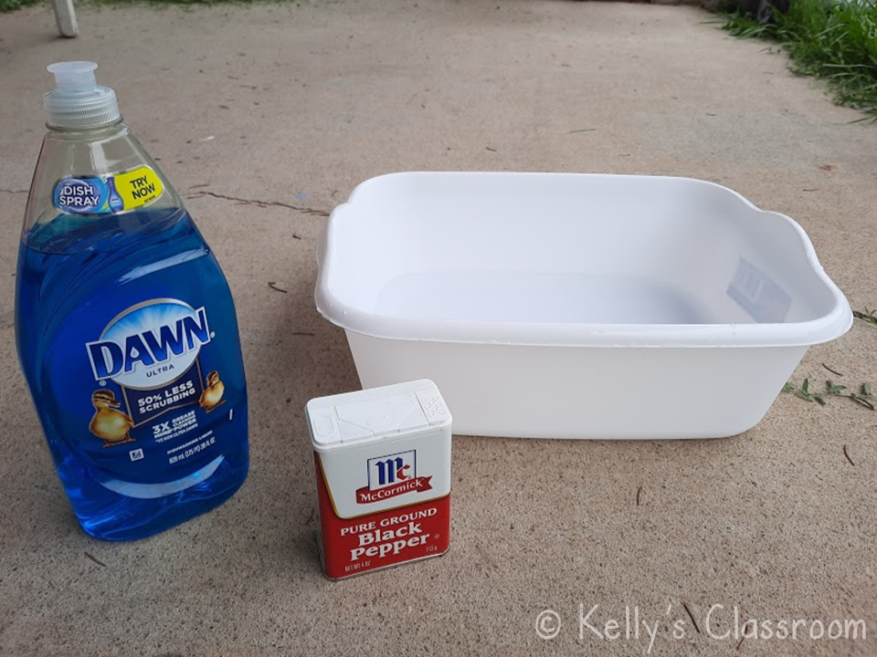 Kelly's Classroom Online: Germs vs. Soap by Didi Dragon + STEM Activity