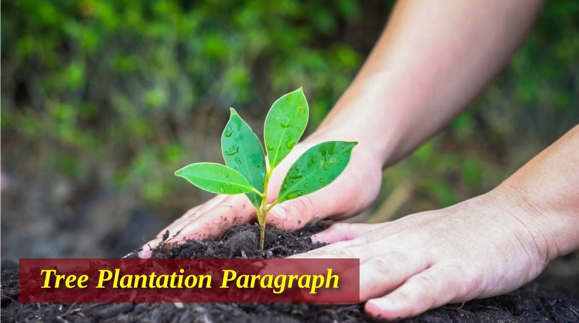 Tree Plantation Paragraph Writing for all Classes.