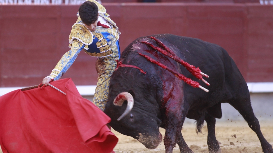 ART and ARCHITECTURE, mainly: Ernest Hemingway and his love of bull ...